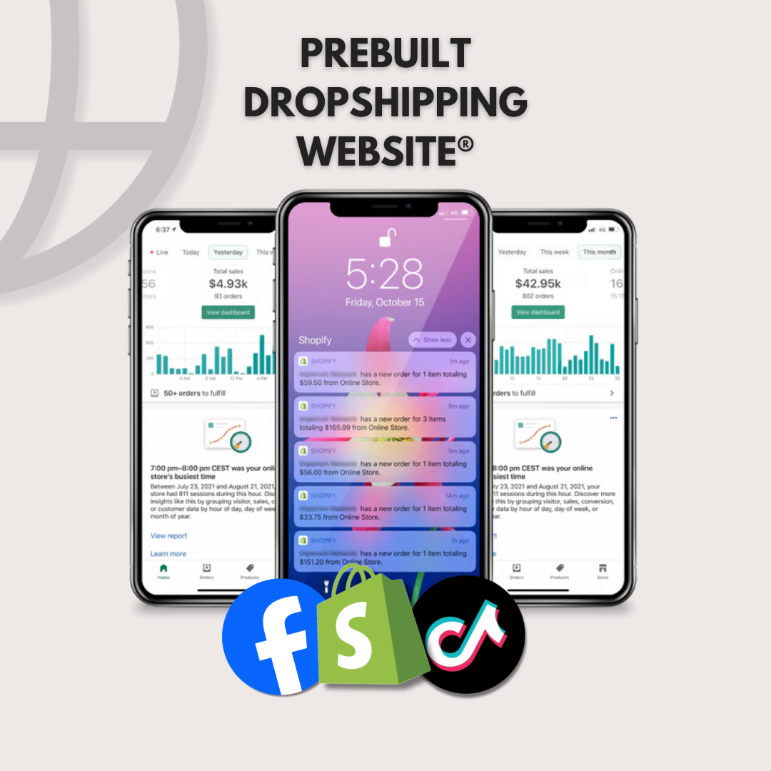Prebuilt Dropshipping Website® – EcomHub